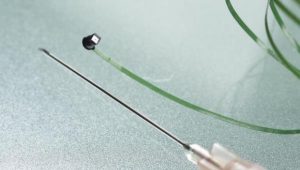 10 Smallest Things in The World That Will Surely Surprise You