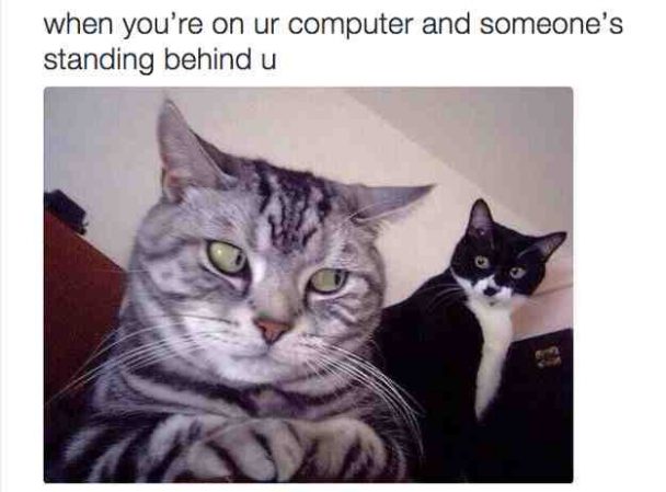 31 Most Funny Internet Memes That Will Make You Laugh Really Hard