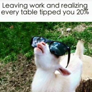 31 Most Funny Internet Memes That Will Make You Laugh Really Hard