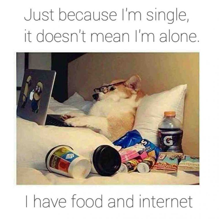 31 Most Funny Internet Memes That Will Make You Laugh Really Hard