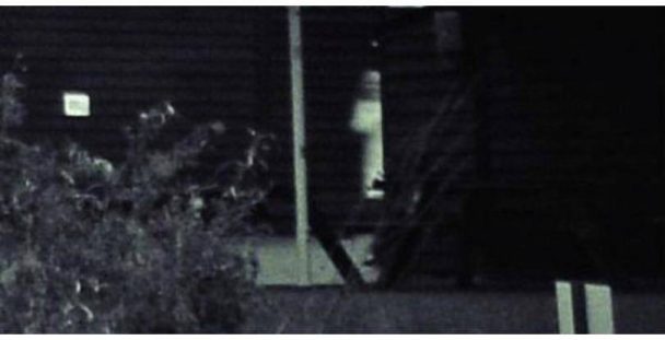 23 Real Life Scary Pictures With Horrifying Backstories Ever Heard