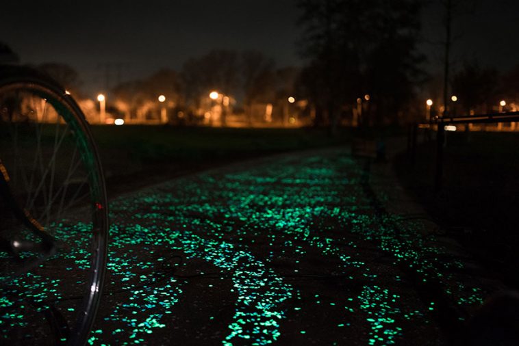 These Glow In The Dark Bicycle Paths That Are Charged By The Sun